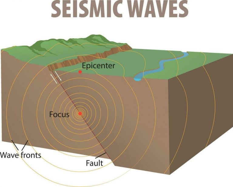 What is Seismic Waves? An In-depth Analysis of Earth's Vibrations - Seis Tech